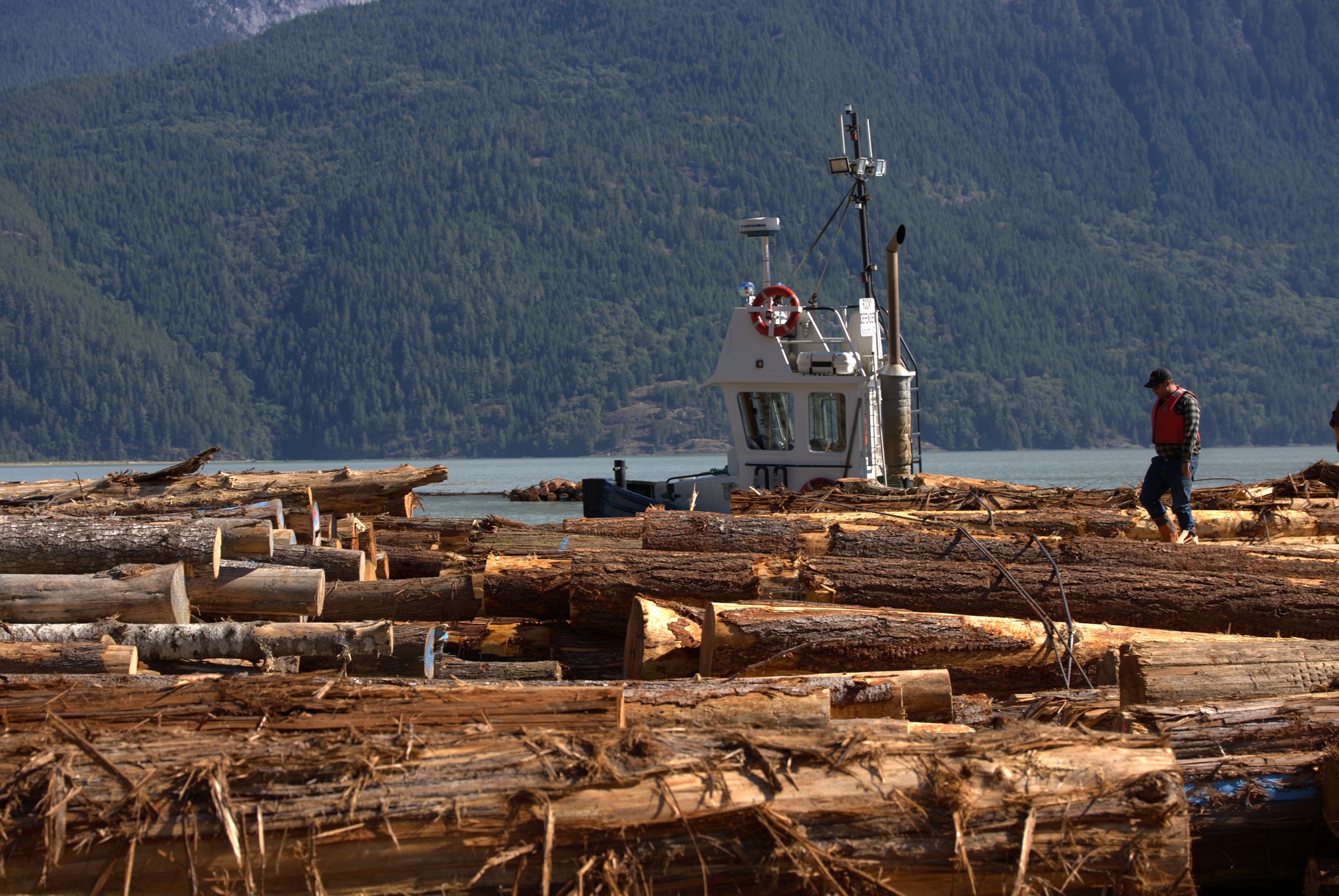 'The Last Woodsmen': Logger Boss on Risking Life & Limb During New ...