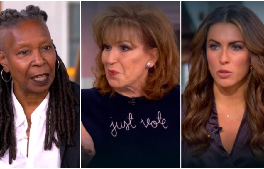 The View - ABC Talk Show