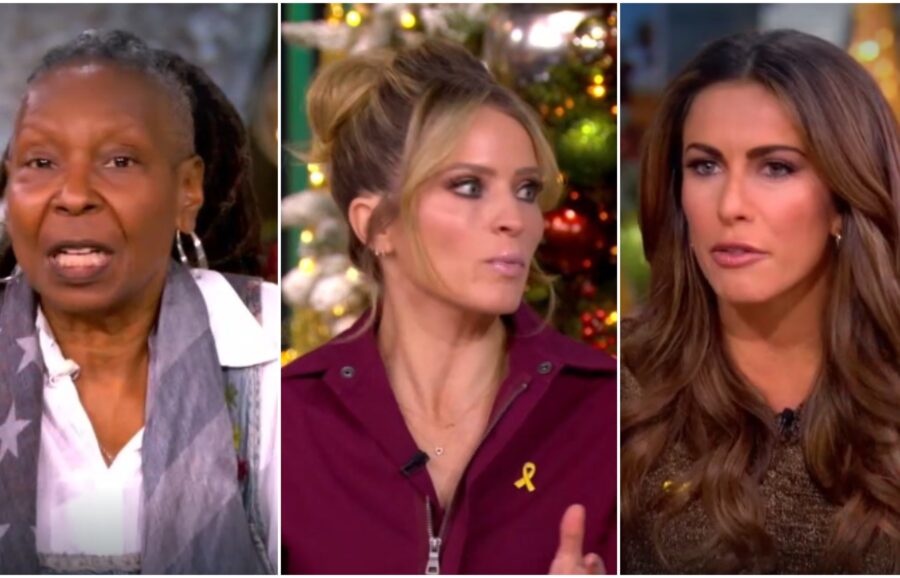 The View - ABC Talk Show