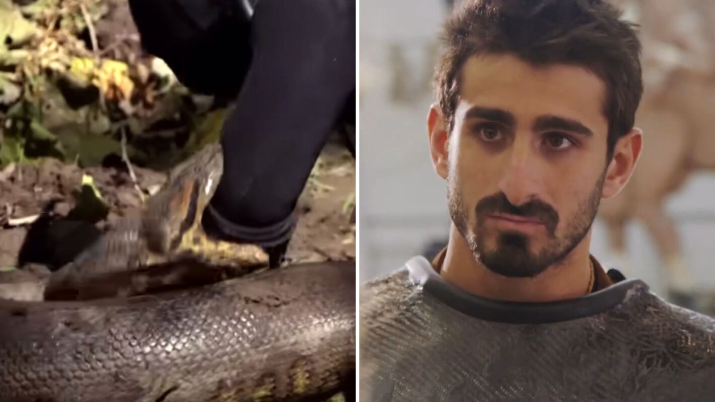 10 Years Ago, A Man Was Nearly ‘Eaten Alive’ by an Anaconda on ...