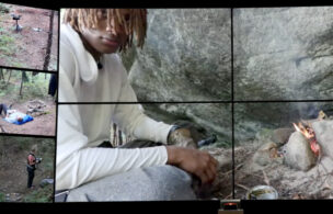 Extracted - FOX & Hulu Reality Series - Where To Watch