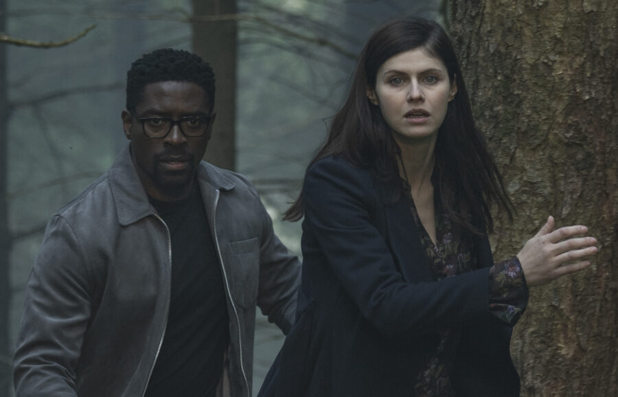 Kelli Boyle's Articles