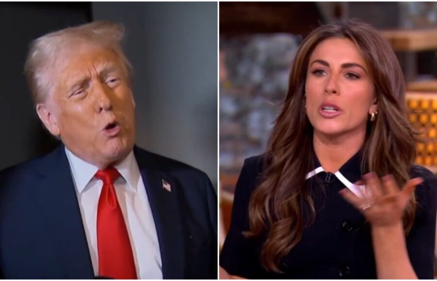 The View - ABC Talk Show