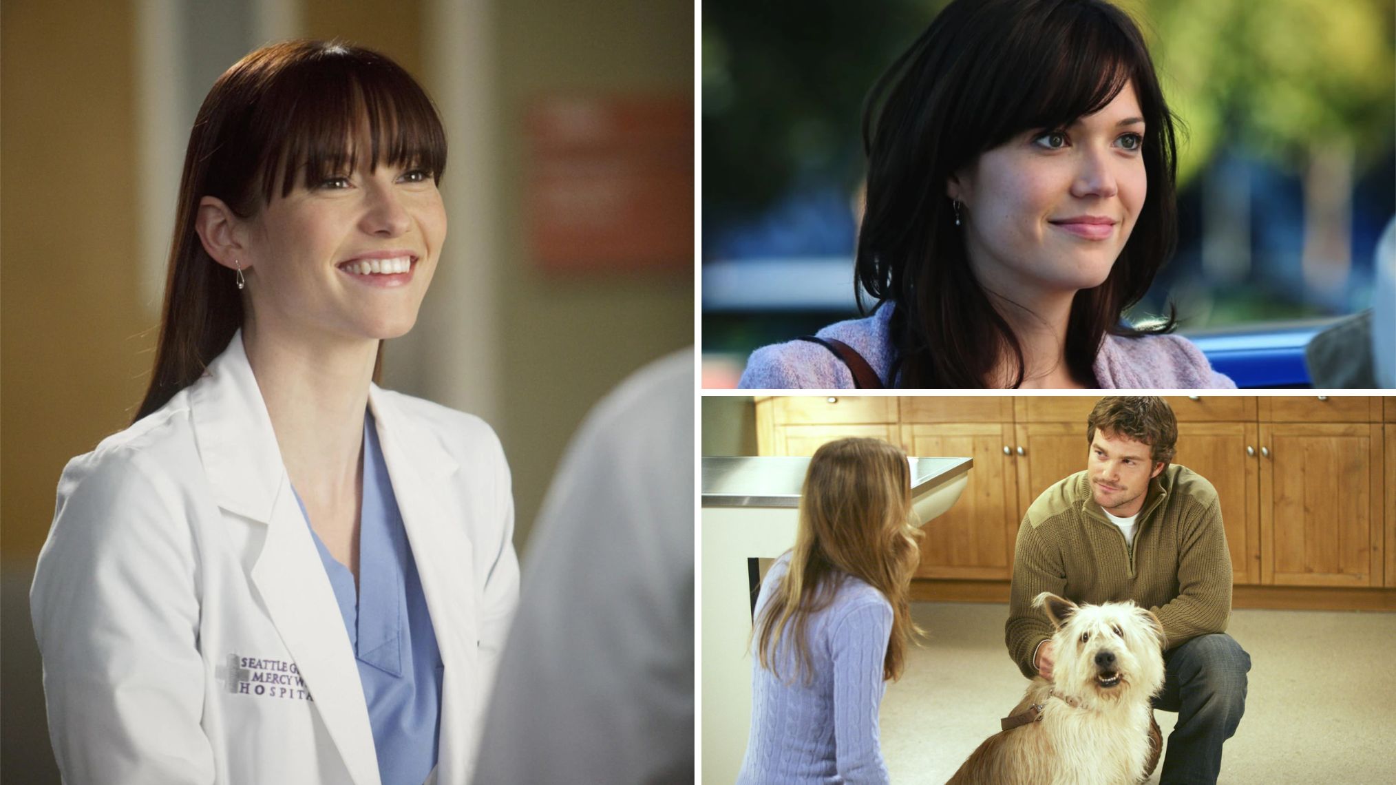 The 11 Saddest ‘Grey's Anatomy’ Deaths: Surgeons, Patients & Doc, Too