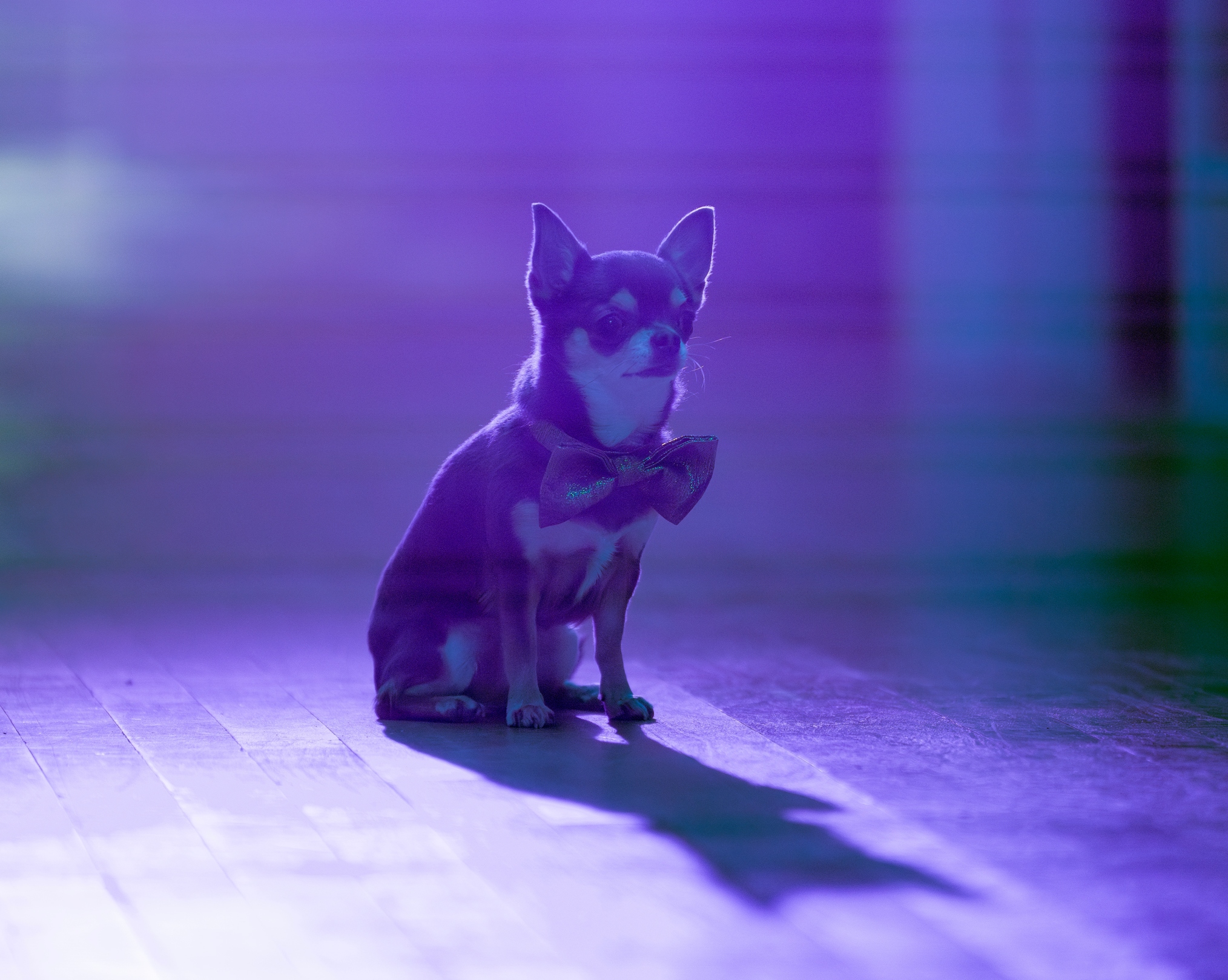 'Will Trent' Interview: Ramón Rodríguez Teases 'Tough' Road Ahead for Angie