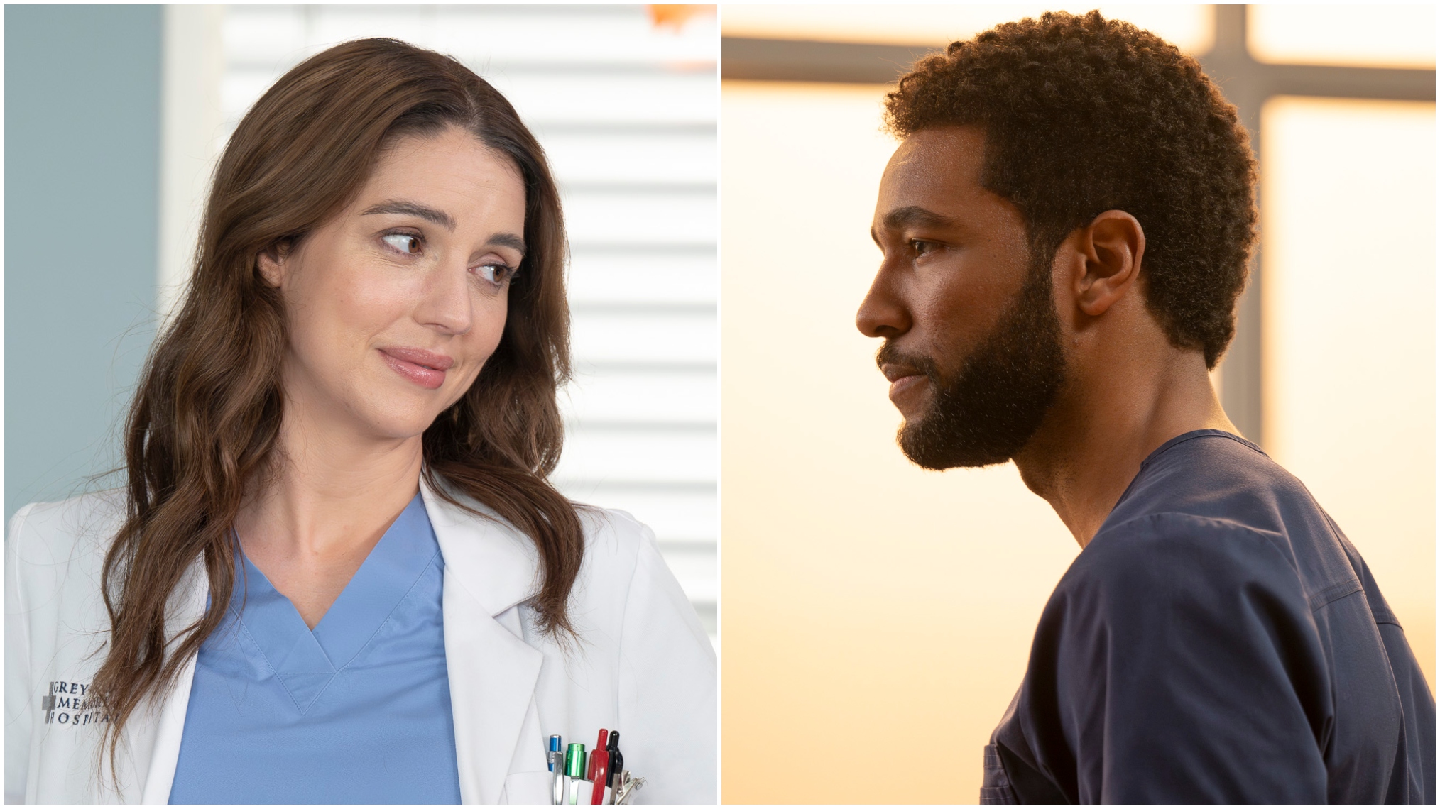 'Grey's Anatomy' Recap: Are Winston Ndugu and Jules Millin the Next ...
