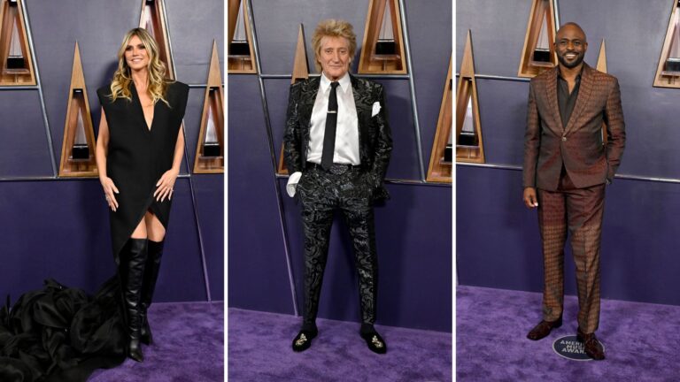 American Music Awards 2025 Red Carpet: Rod Stewart and More (PHOTOS)