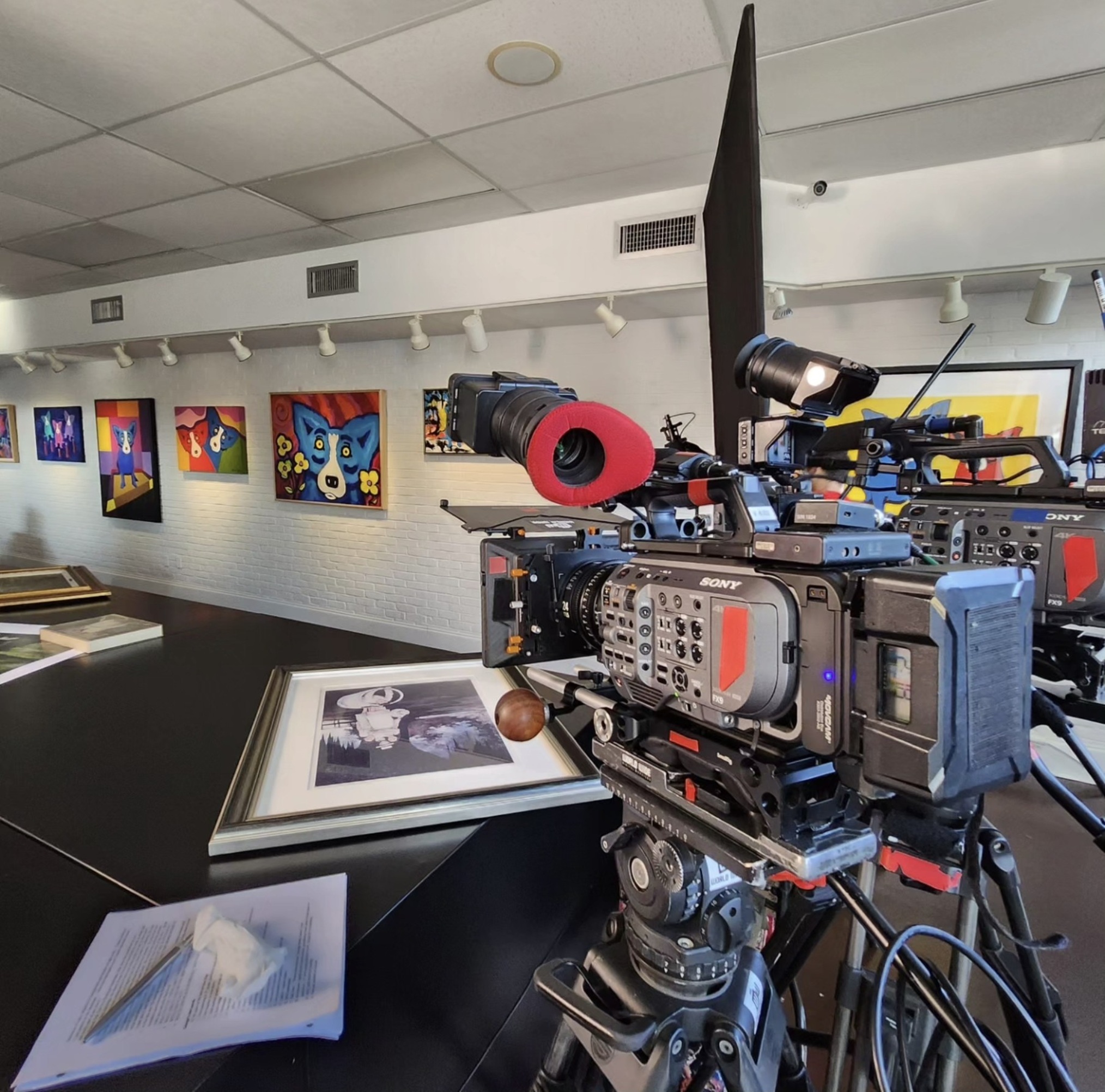 'Blue: The Life and Art of George Rodrigue' Explores Painter's Cajun ...