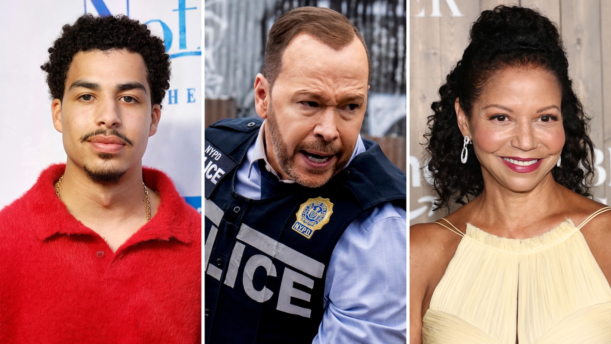 Donnie Wahlberg 'Blue Bloods' Spinoff 'Boston Blue': Cast, Premiere ...