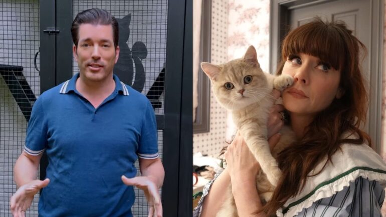 Jonathan Scott Builds Fun Gift for His and Zooey Deschanel's Pet Cats