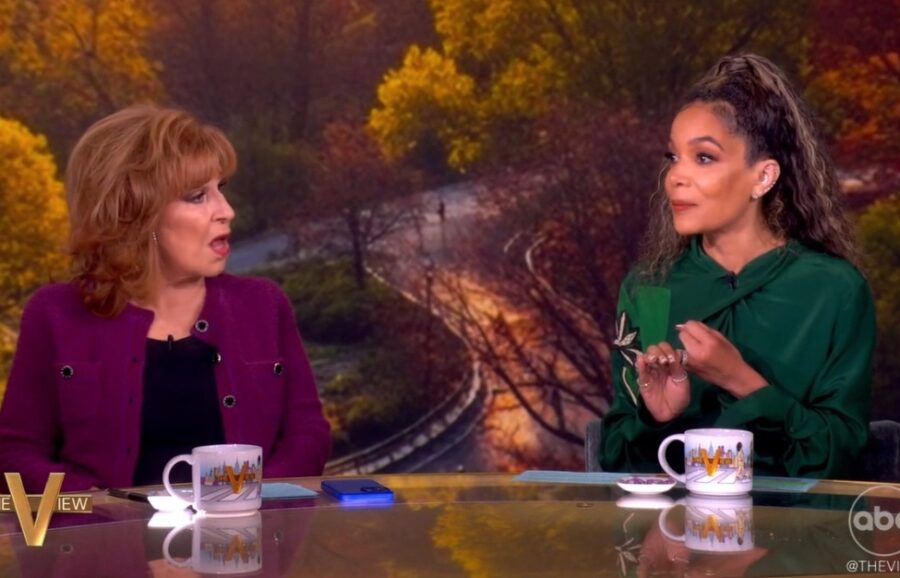 The View - ABC Talk Show