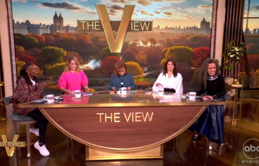 The View - ABC Talk Show