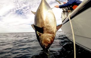 Catching Monsters' Man-vs-Fish Battles Are 'Adrenaline Junkie's Dream ...